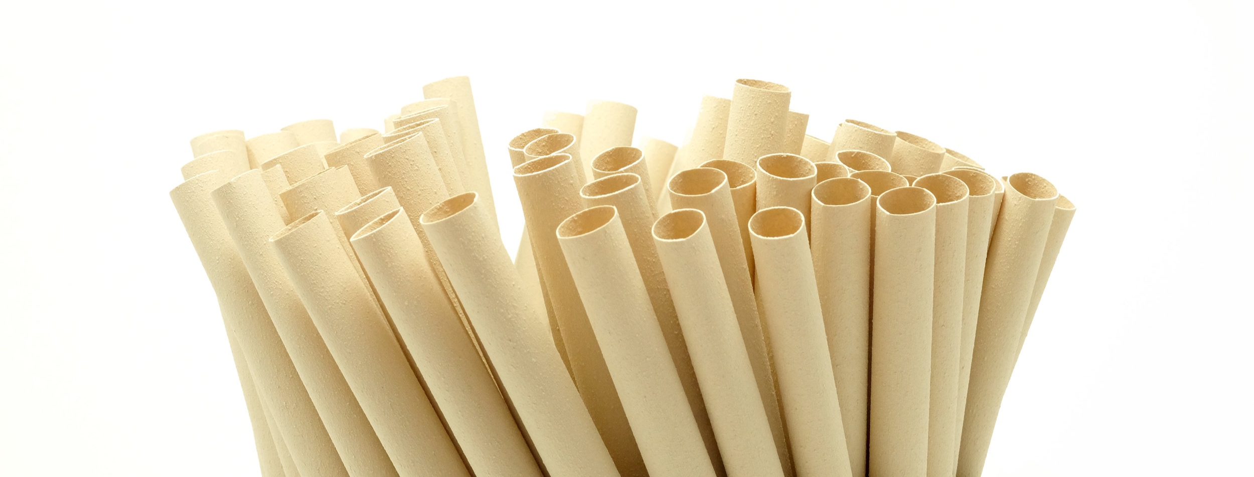 Bamboo Fiber Straws Vs. Paper Straws - Homestraw