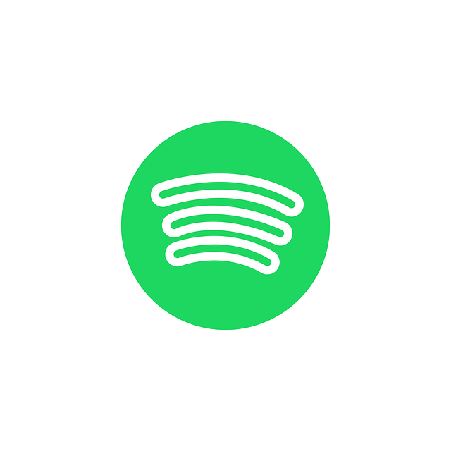 Legally Scrape Spotify Data to Excel & CSV via API