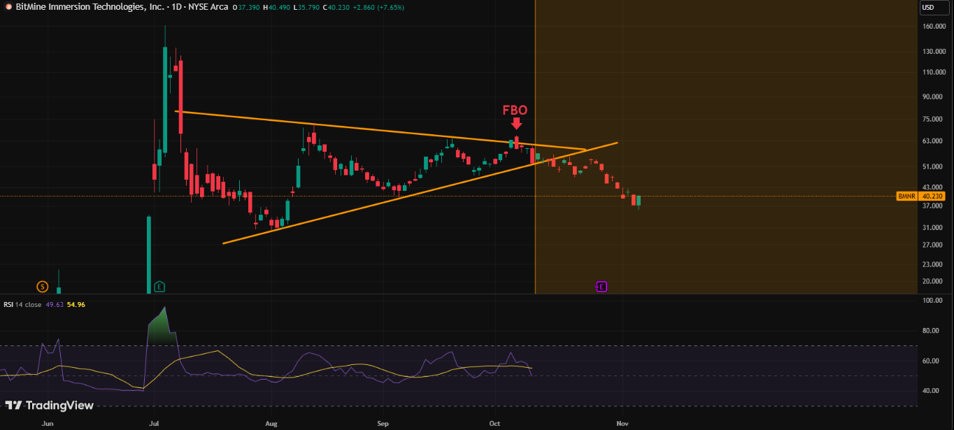 What is BitMine Immersion Technologies (BMNR)?