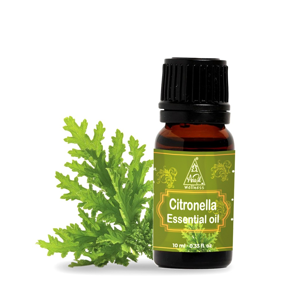 Spider Prevention & Control: Tips for Effective Pest Management