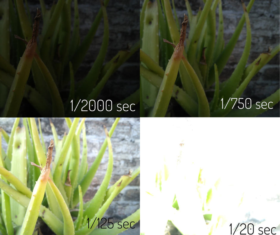 Beginner's Guide to Photography | TYX Studios