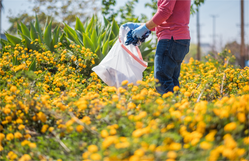 23 Creative and Unique Spring Fundraising Ideas for 2025