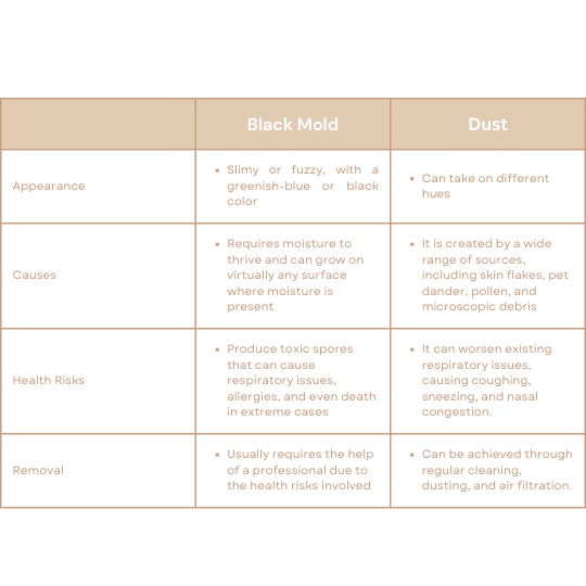 Black Mold Vs. Dust: How to Tell the Difference