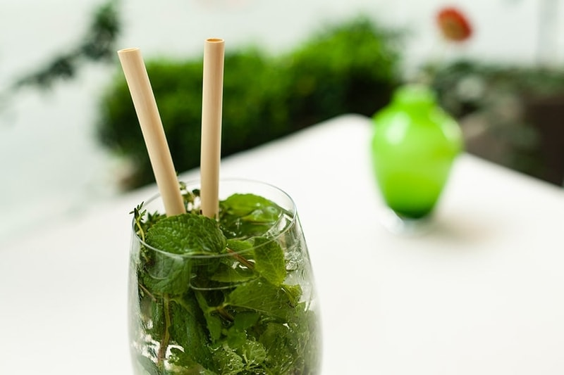 What Are The Recyclable Straws You Must Know in 2024? - Homestraw