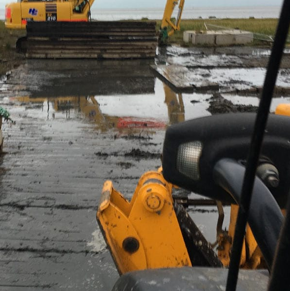 “Do I need Bog Mats?” | Dailybio News