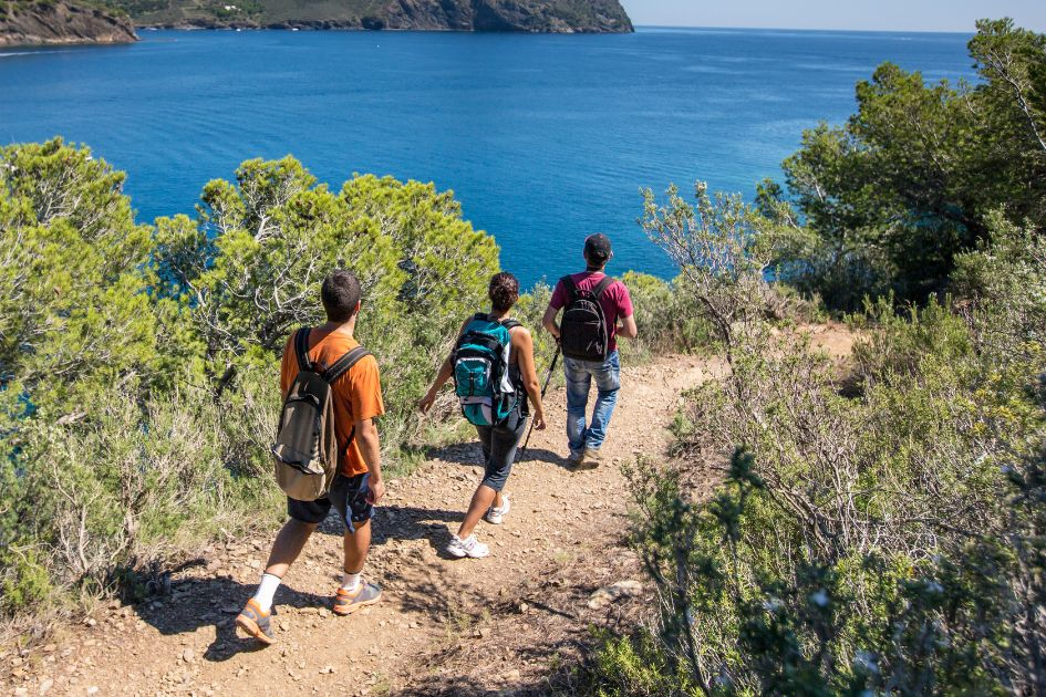 Unlocking the Secrets: What Muscles Does Hiking Work? - The Hiking ...