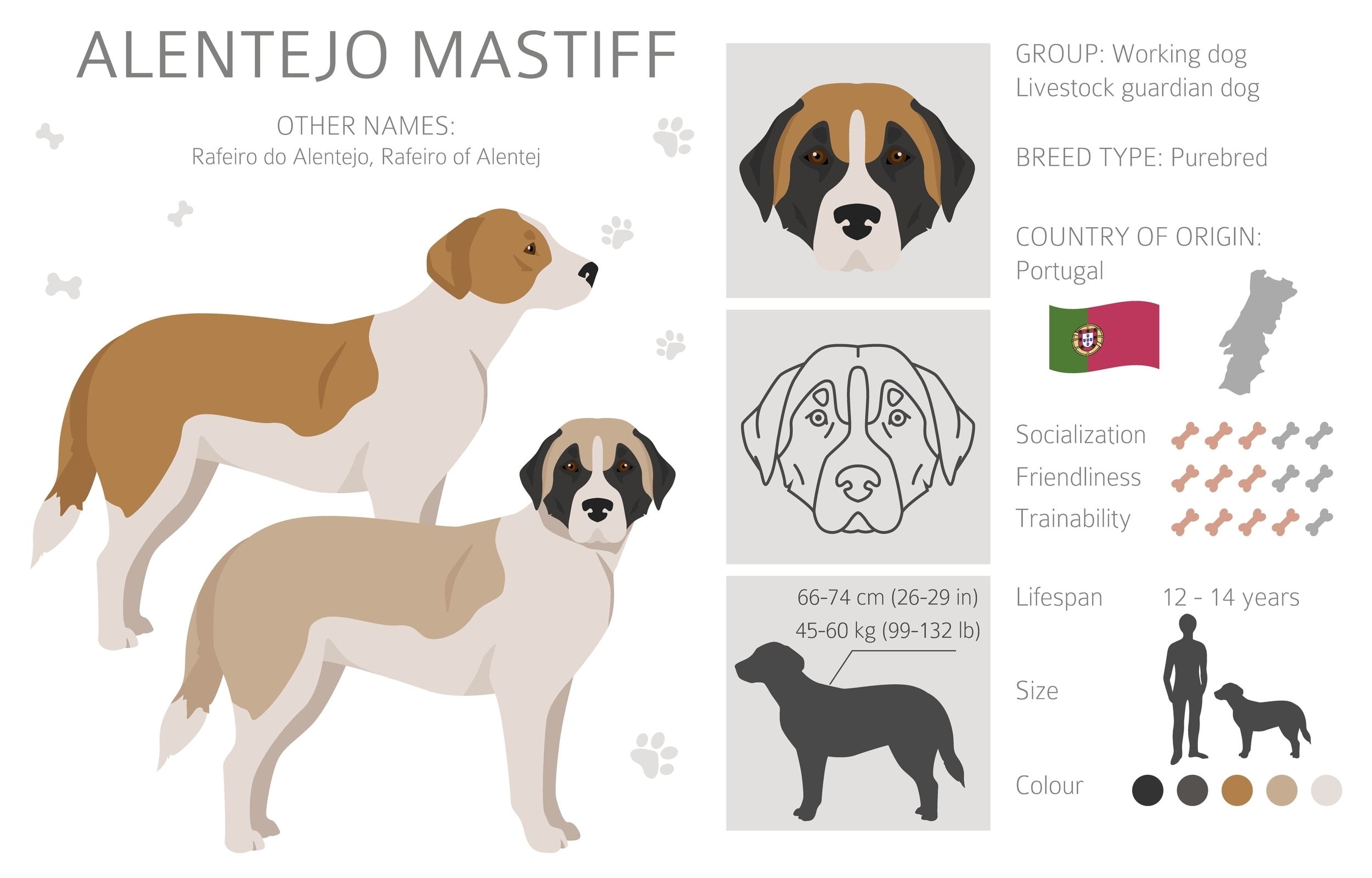 Rafeiro do Alentejo - FurLyfe!