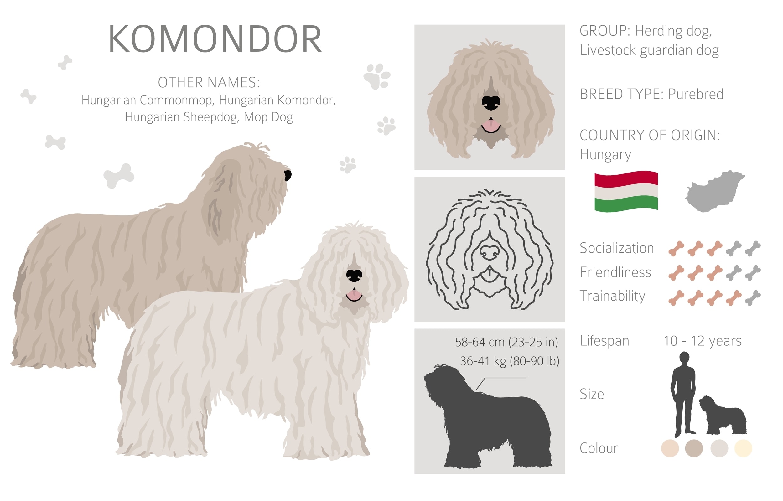 Komondor - FurLyfe!
