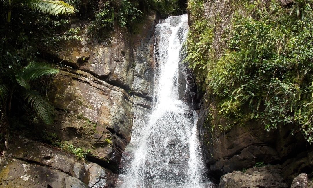 Waterfalls in San Juan | Puerto Rico to Explore
