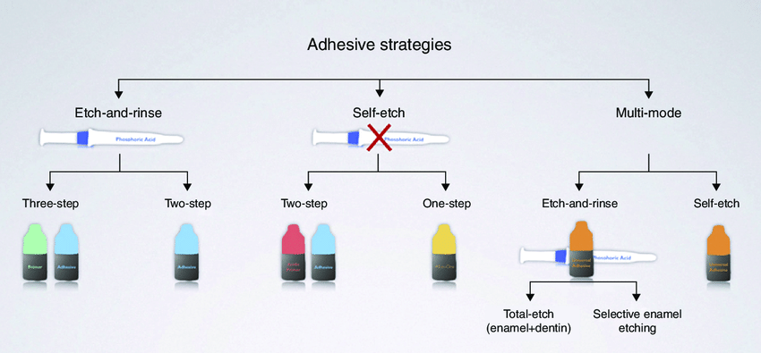 Choose the Right Types of Dental Bonding Agent to Restore Smile
