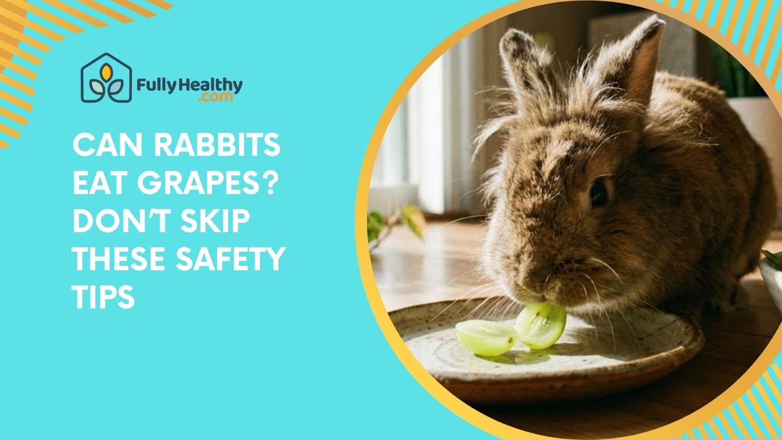 Can Rabbits Eat Grapes? Don’t Skip These Safety Tips