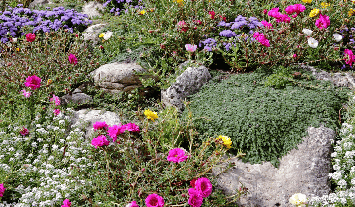 Best 30 Curb Appeal Ideas to Impress Your Neighbors - Be Greight