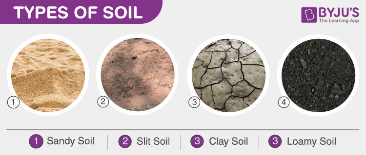 Compaction Test of Soil: Methods & Significance - Certified MTP Blog