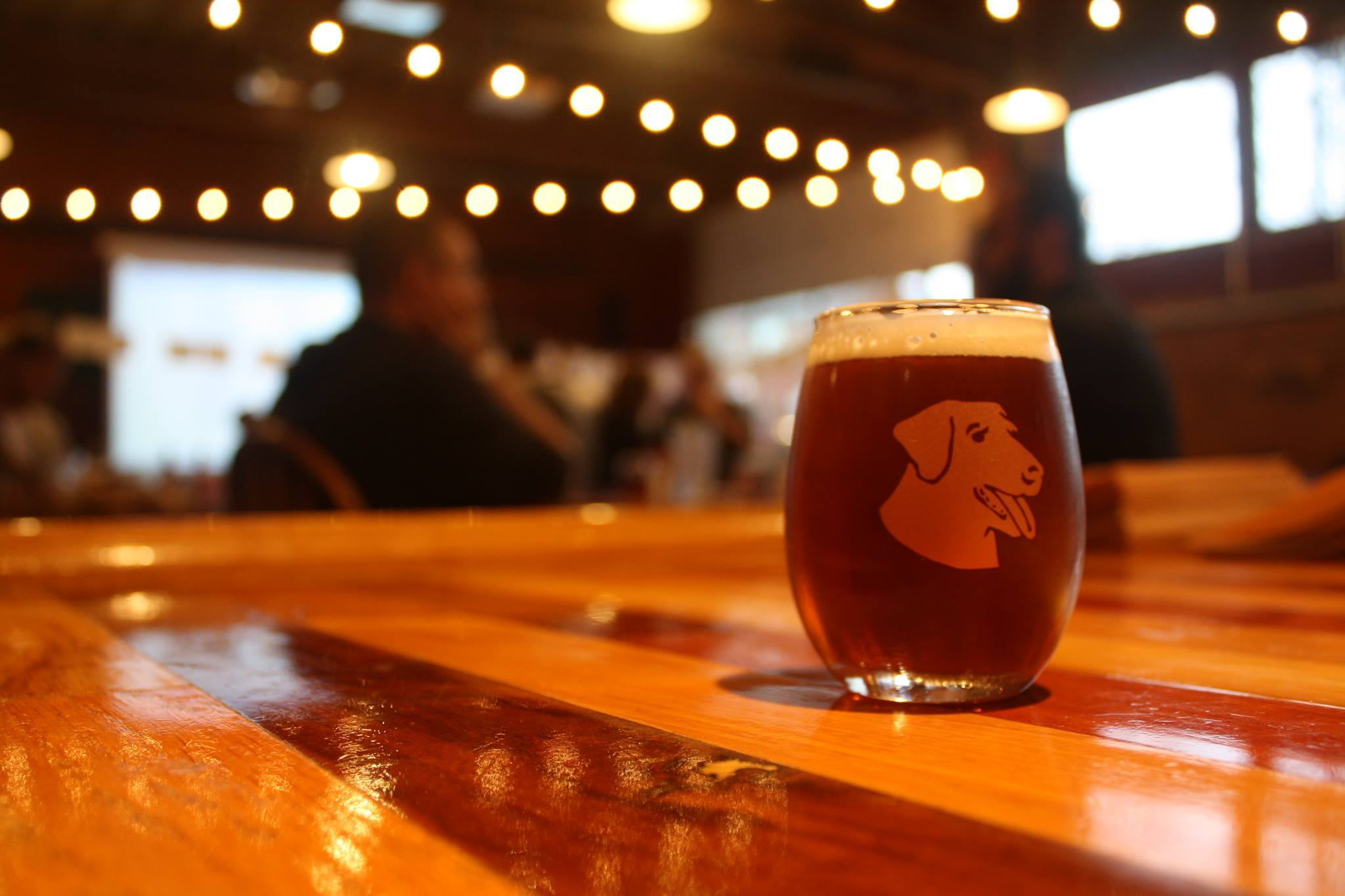 21 Dog-Friendly Breweries in the United States 2023 - CityDog Magazine