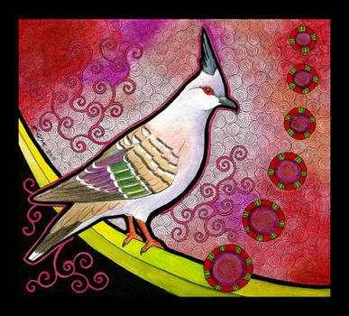 Pigeon Symbolism: Exploring the Deeper Meaning of These Graceful Birds