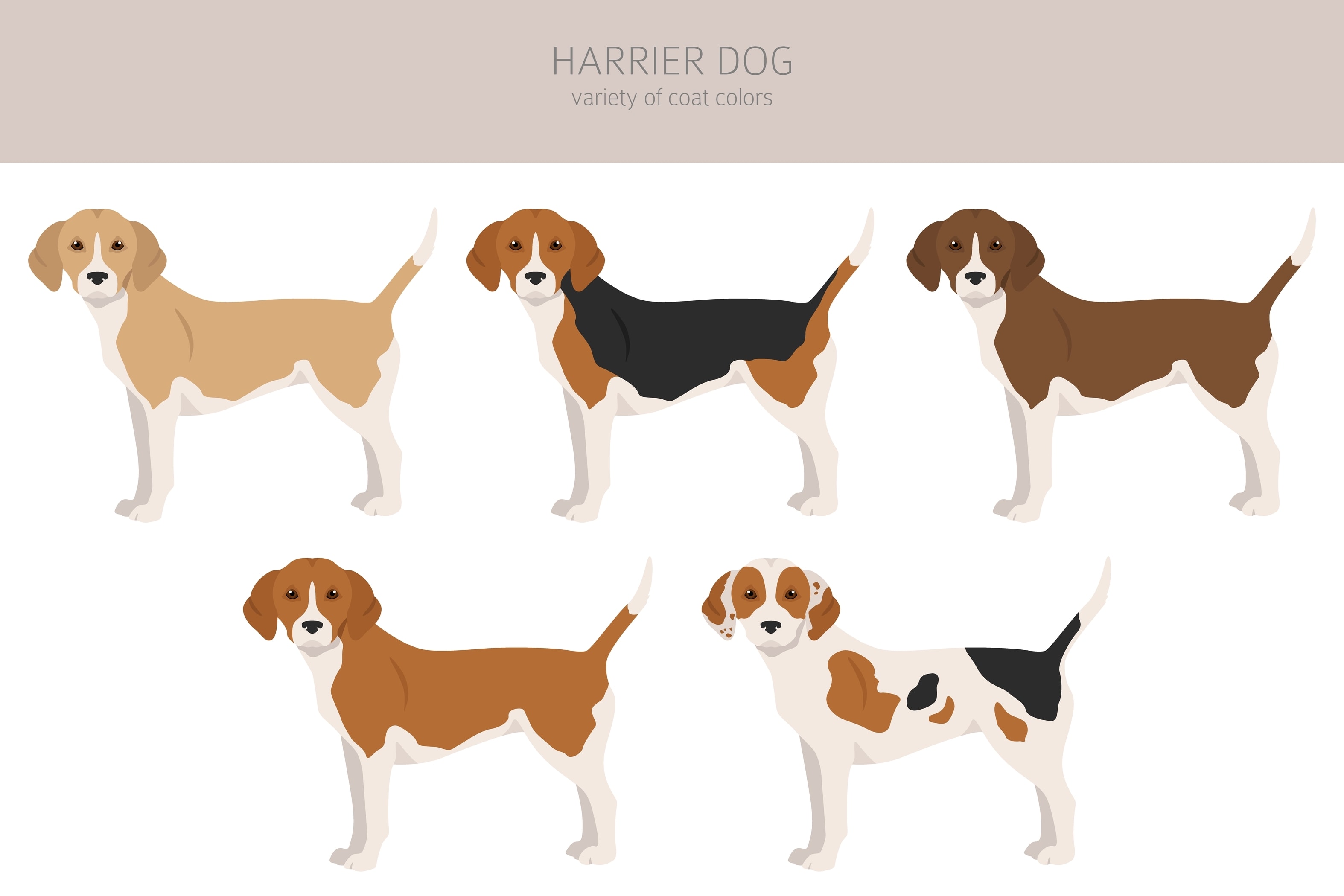 Harrier - FurLyfe!