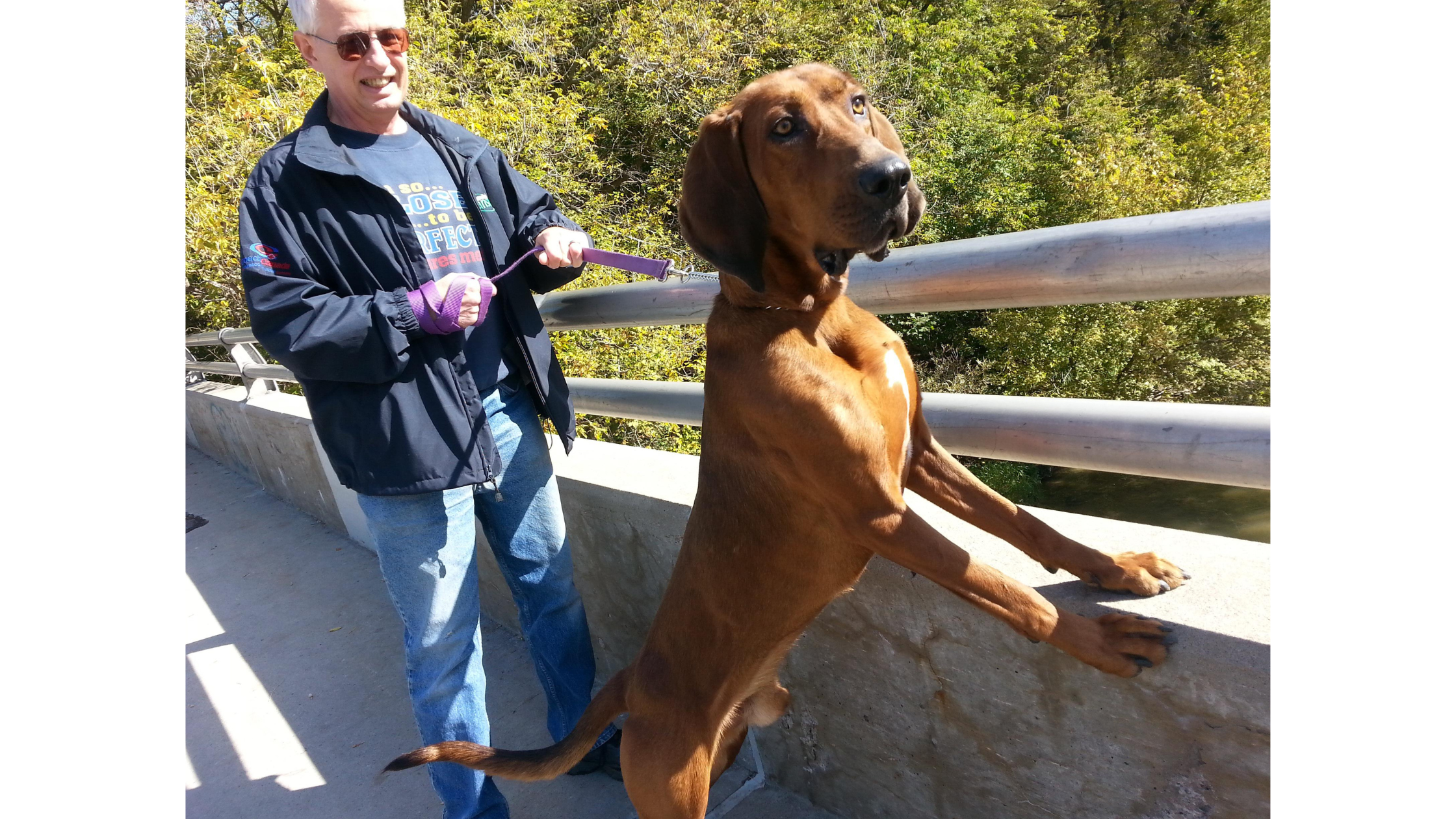Redbone Coonhound - FurLyfe!