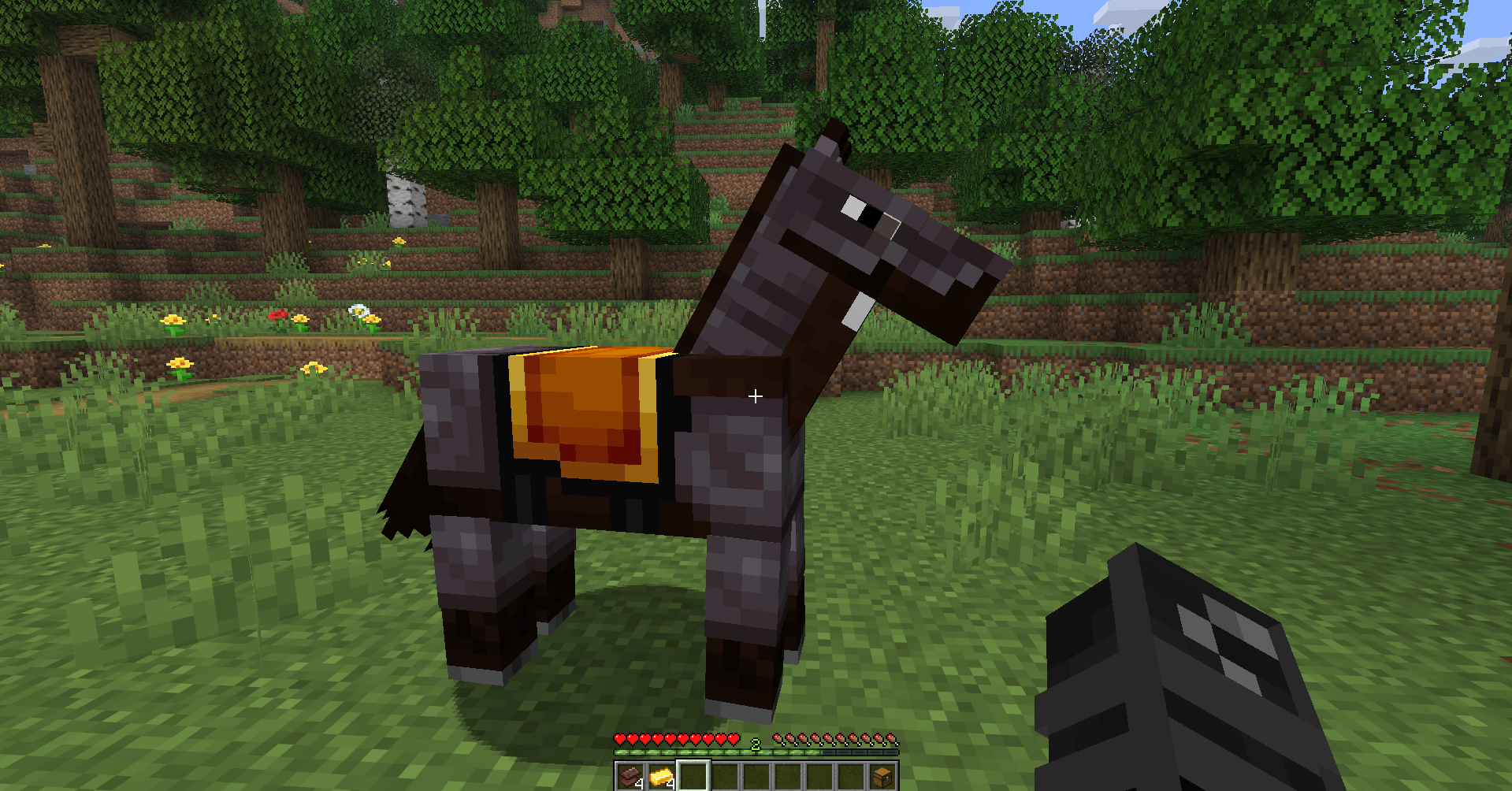 Netherite Horse Armor: The Complete Guide