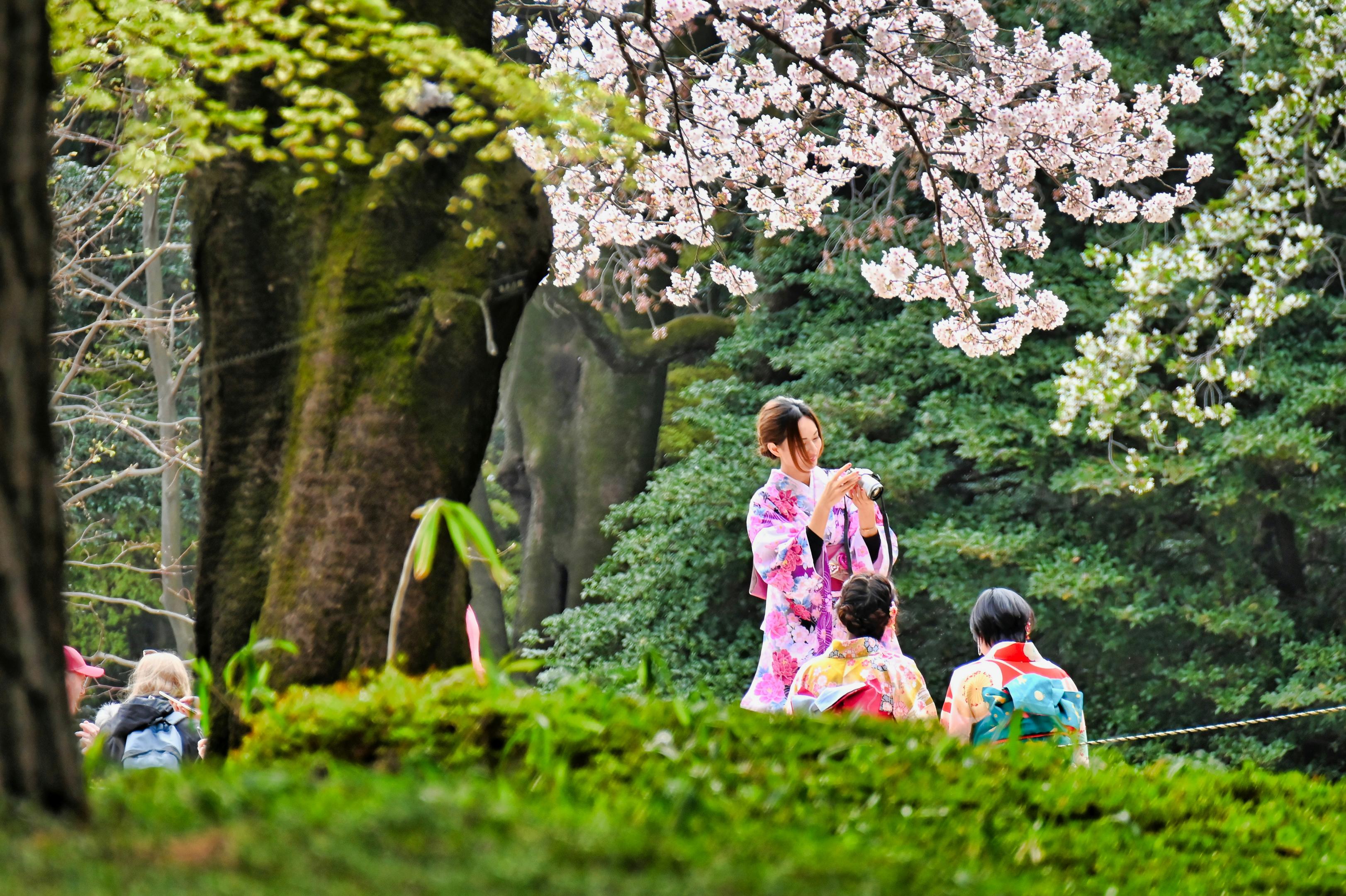 Best Places to Travel with Kids: Top Family-Friendly Destinations
