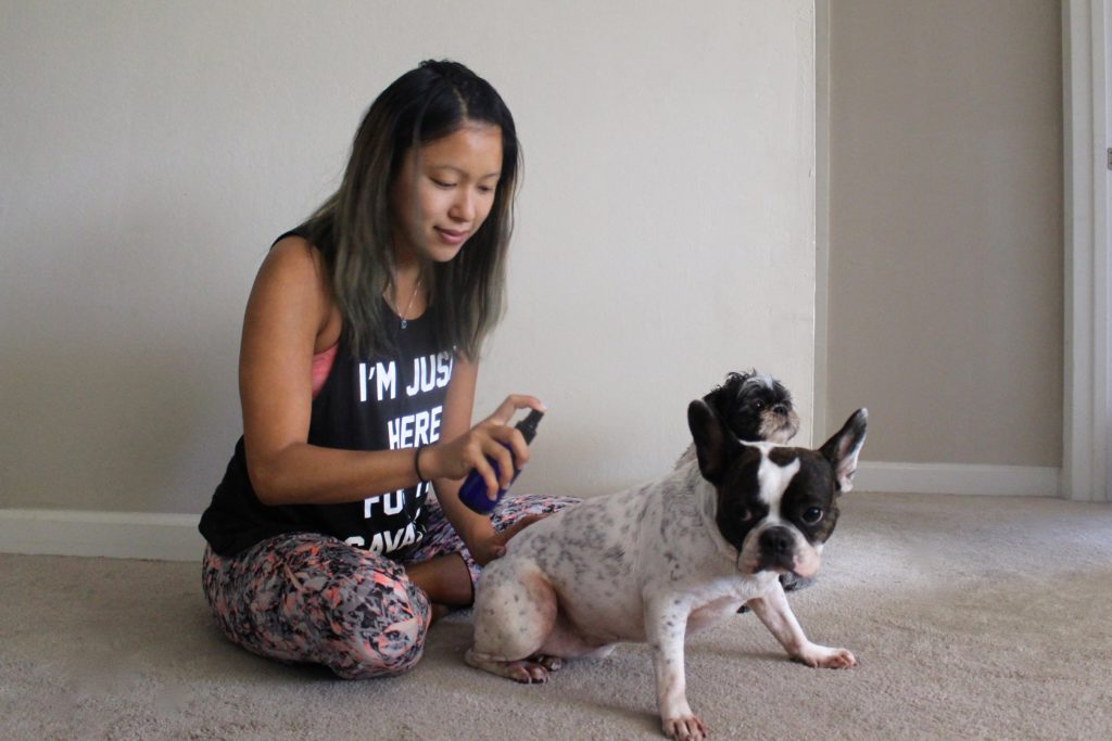 Flea Control: Choosing the Right Product for Your Pet