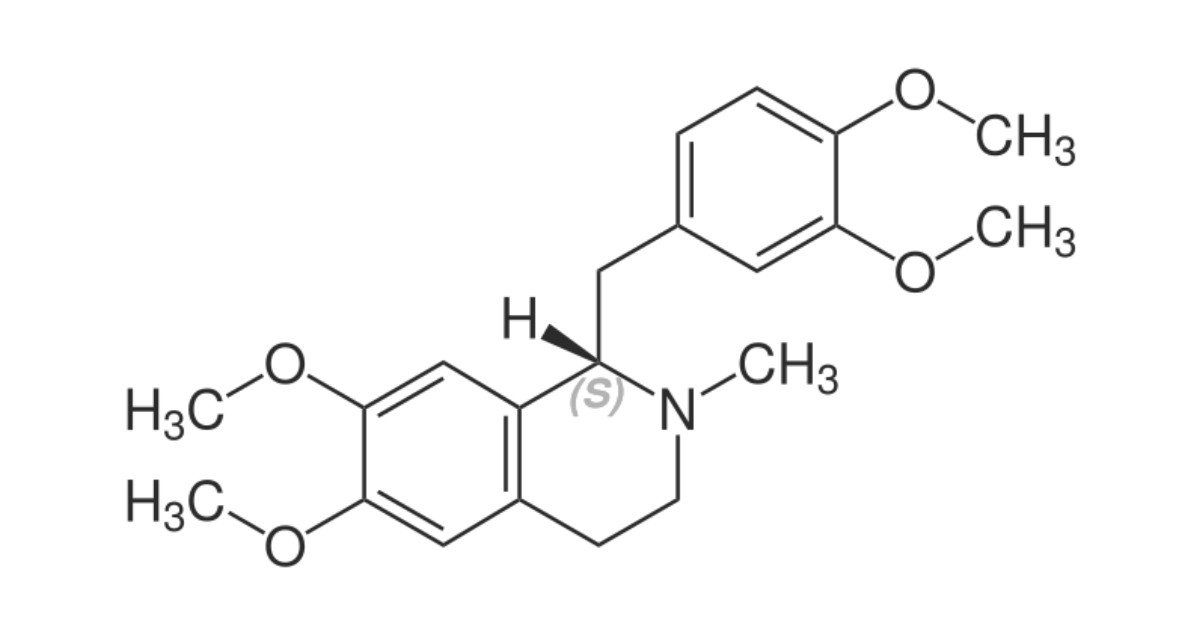 A Comprehensive List Of Psychoactive Plants - 1UpMaps Psychedelics