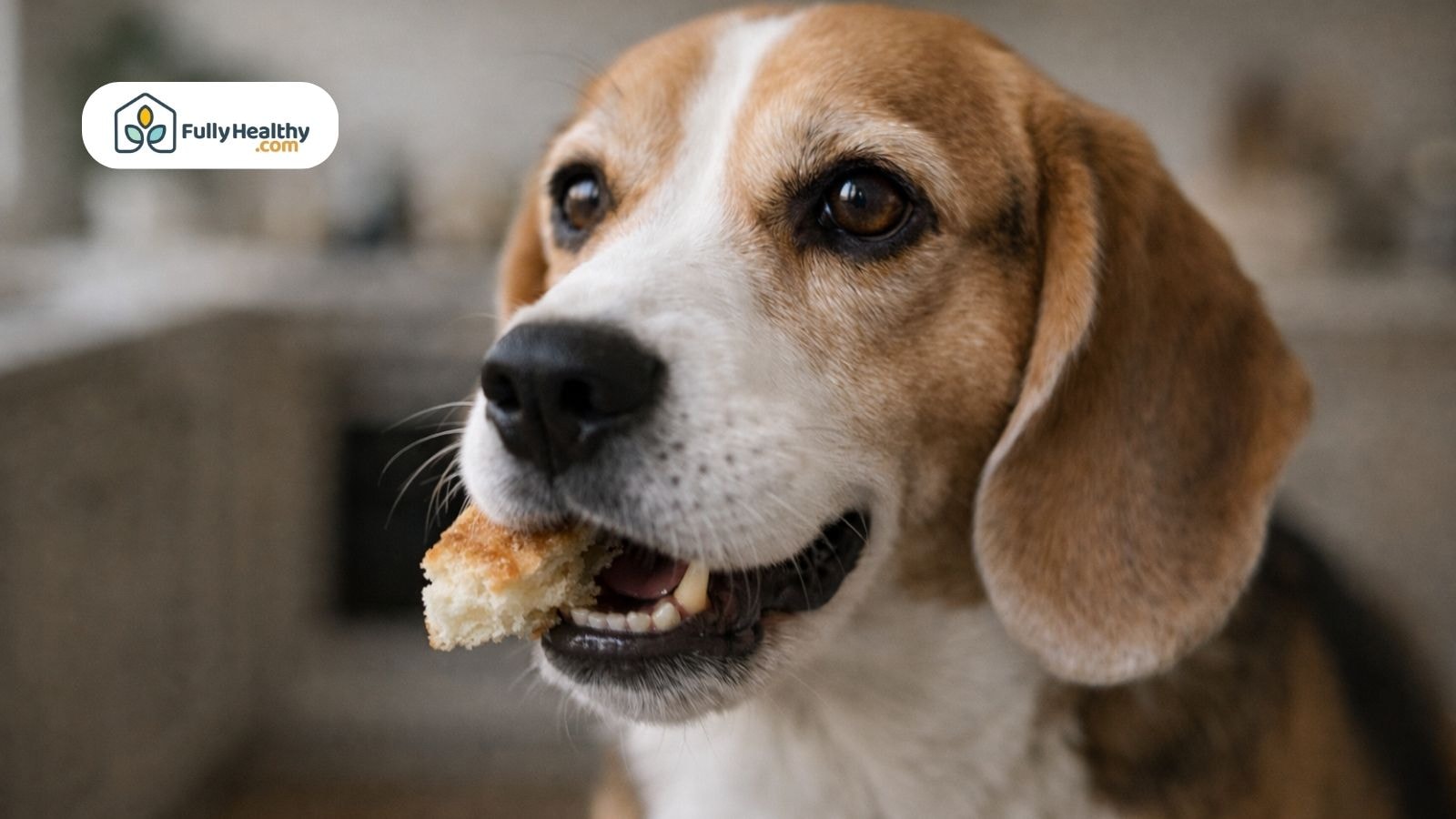 Can Dogs Eat Bread? What Every Pet Parent Must Know