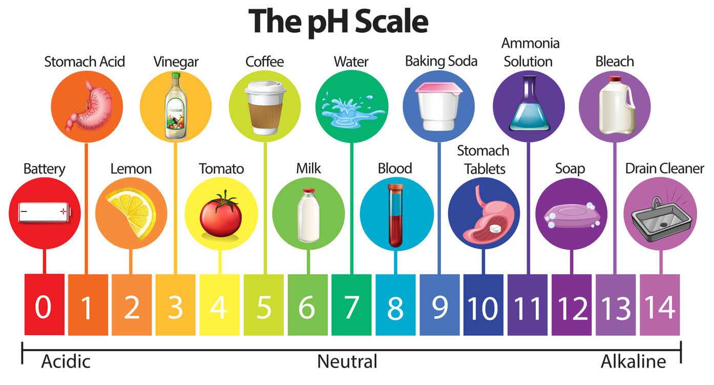 Is Tea Acidic? This Is The Most Comprehensive Guide