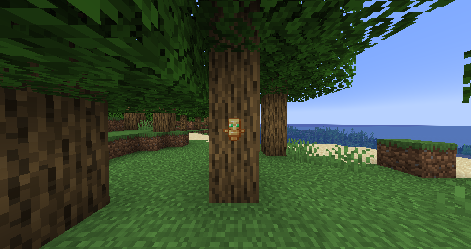 What is the Command to Get Invisible Item Frames in Minecraft Bedrock ...