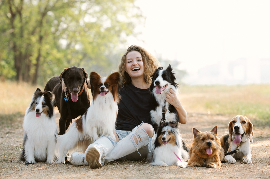 20+ Unique Ideas for Successful Animal Fundraisers | *spotfund