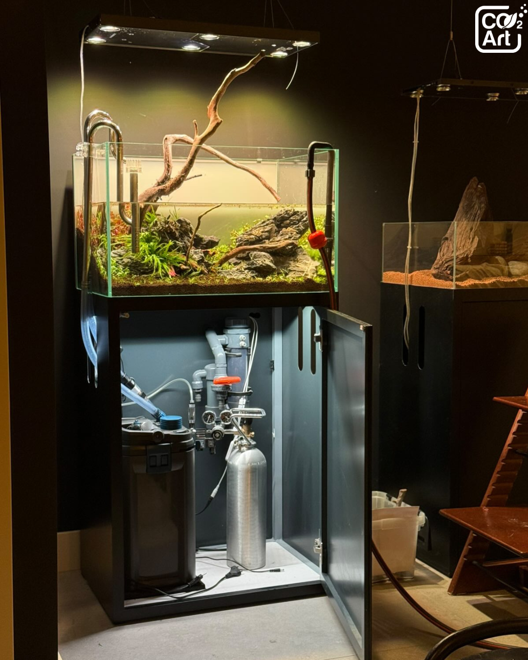 Comprehensive guide to managing black beard algae in aquariums