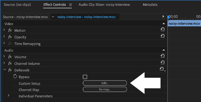 How To Reduce Echo In Premiere Pro Step By Step Tutorial