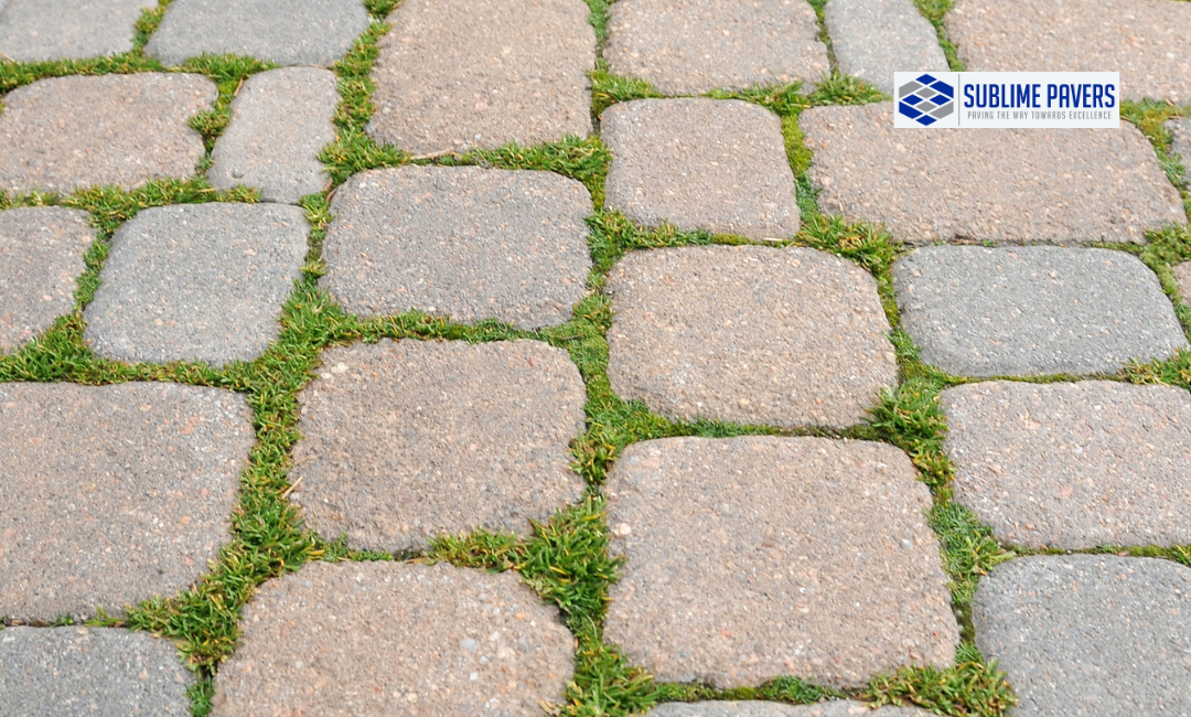 How to Remove Moss from Pavers: A DIY Guide By Paving Pros