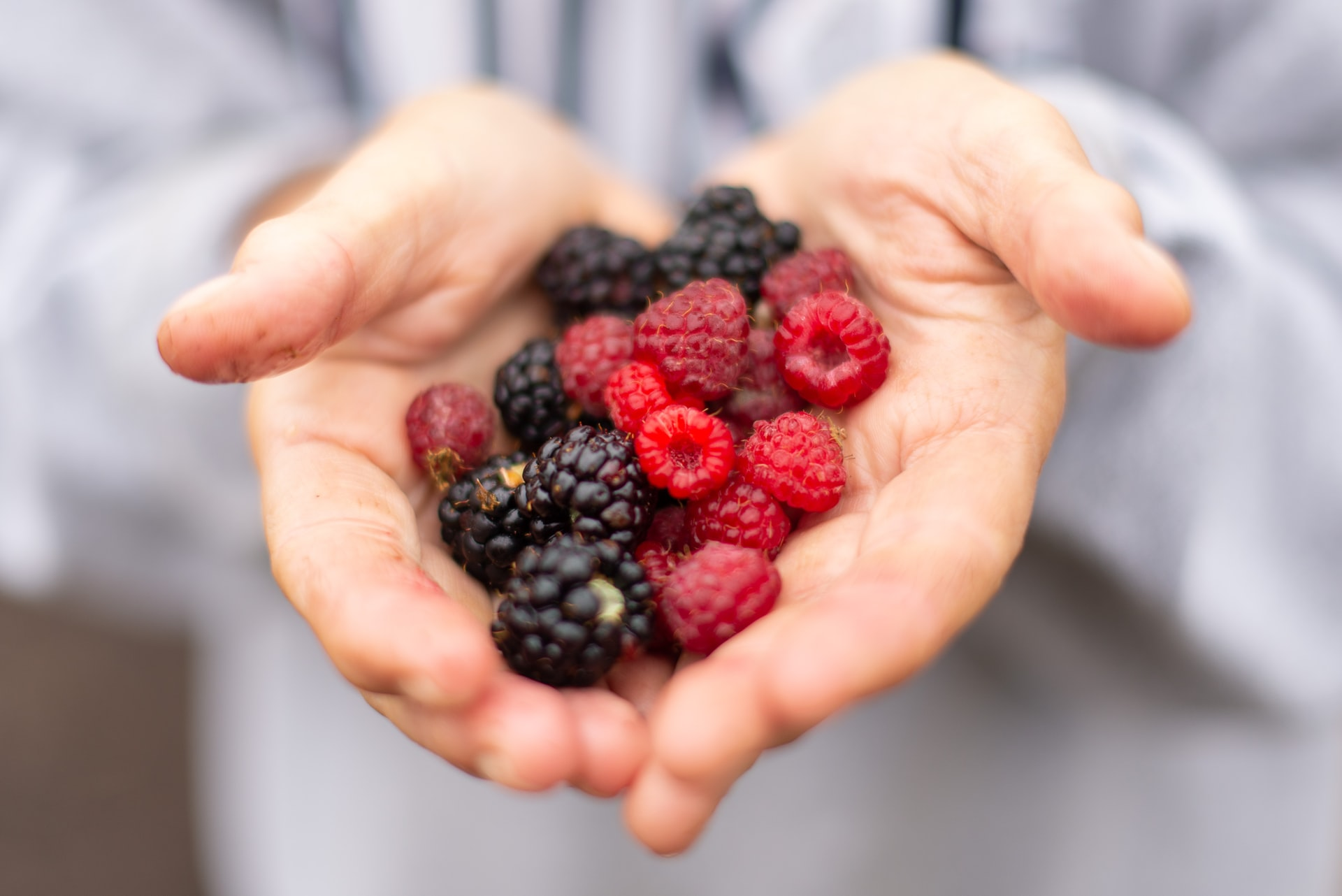 What Are Brain Foods IMPERIUM GRP PTE LTD