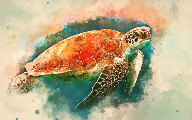 How To Sell Prints On Etsy In 7 Steps Nevue Fine Art Marketing