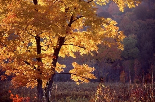 Hudson Valley Fall Foliage: Top 23 Most Unique Spots