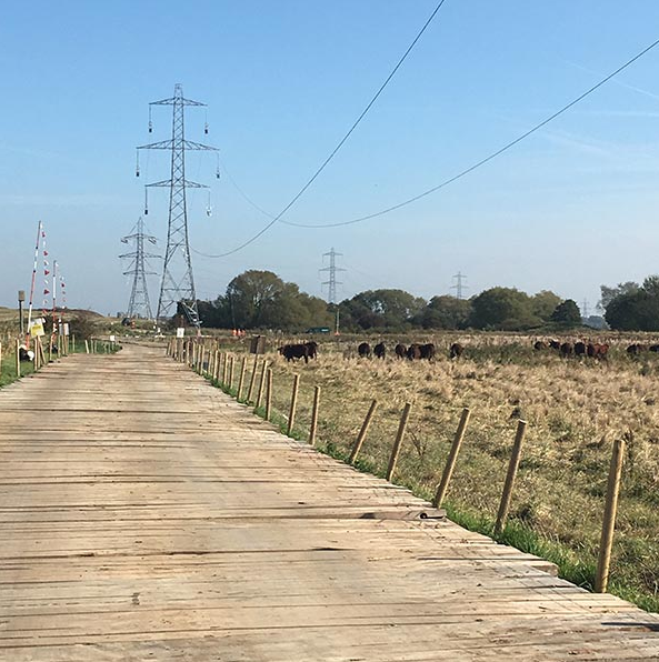 “Do I need Bog Mats?” | Dailybio News