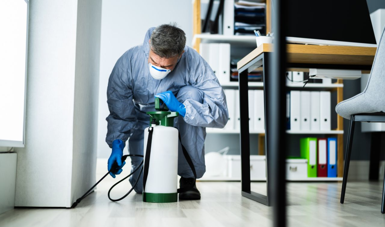 The Definitive Guide to Bed Bug Inspection in NYC Homes