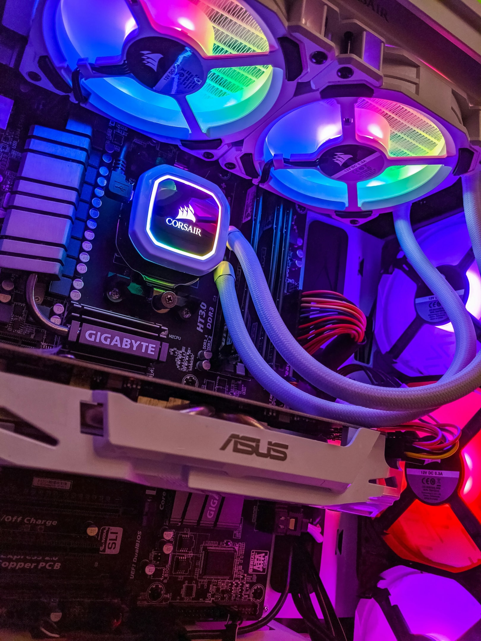 Future of PC Gaming: Trends to Watch in 2024