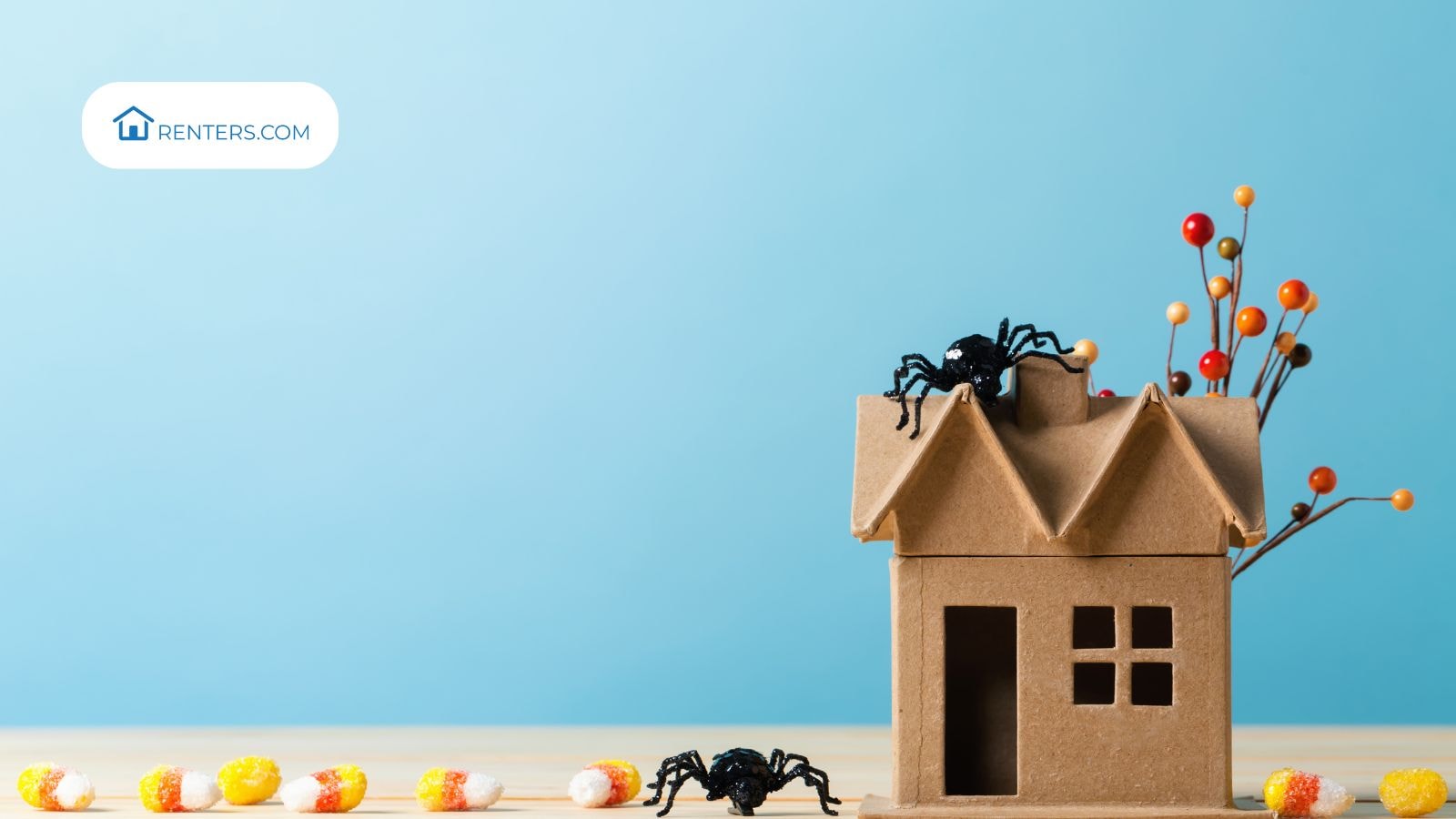 How Do Spiders Get in the House? Entry Points Explained