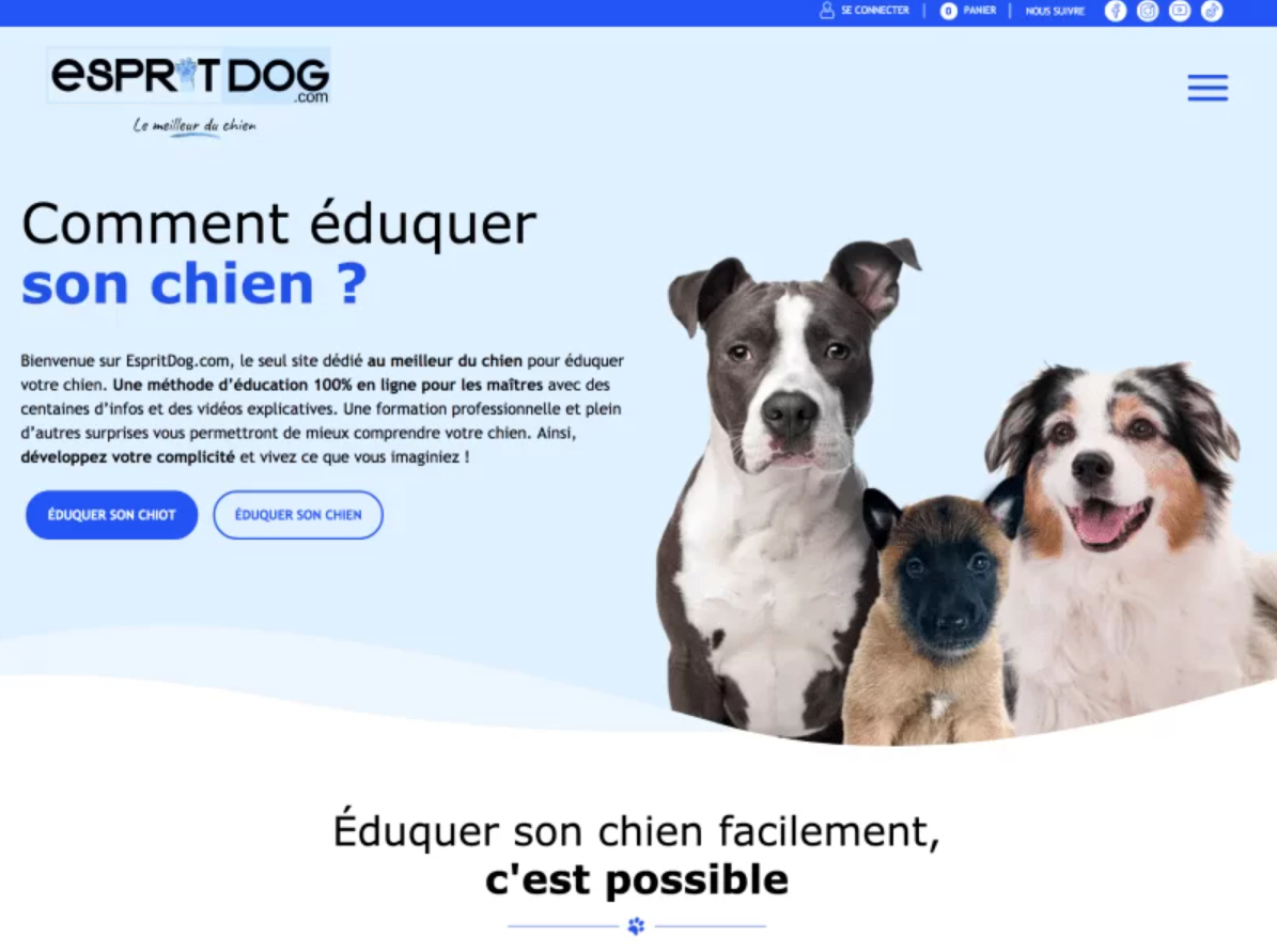 20 Bad Fonts To Avoid In Your Design As a Professional Graphic Designer ...
