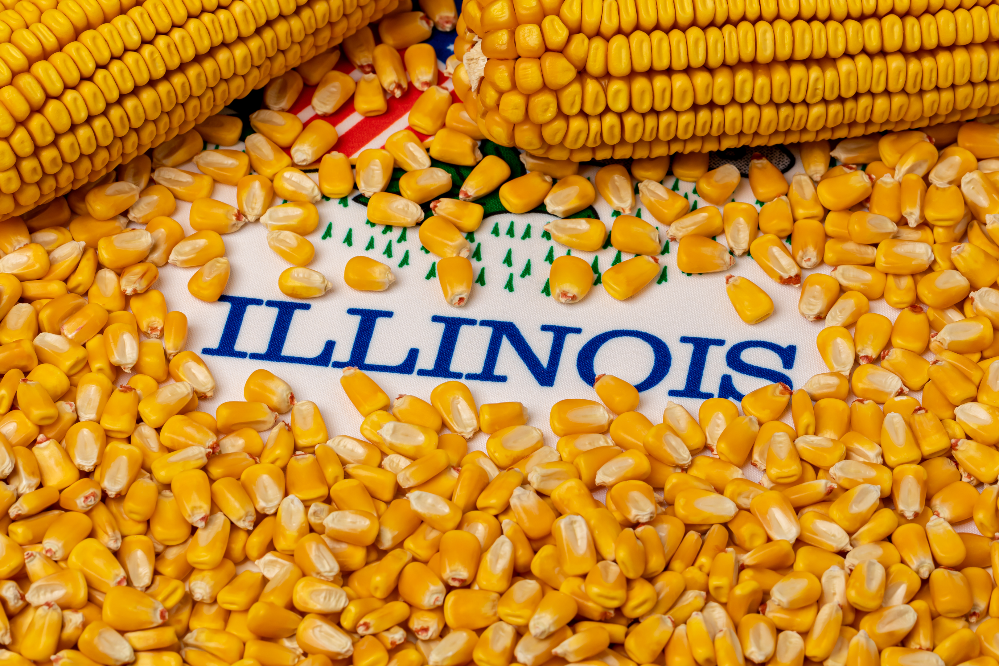 Corn Allergy Symptoms And Effective Solutions - Intolerance Lab