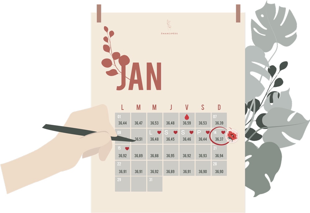 Bilan hormonal femme : quand le faire et quelles hormones doser