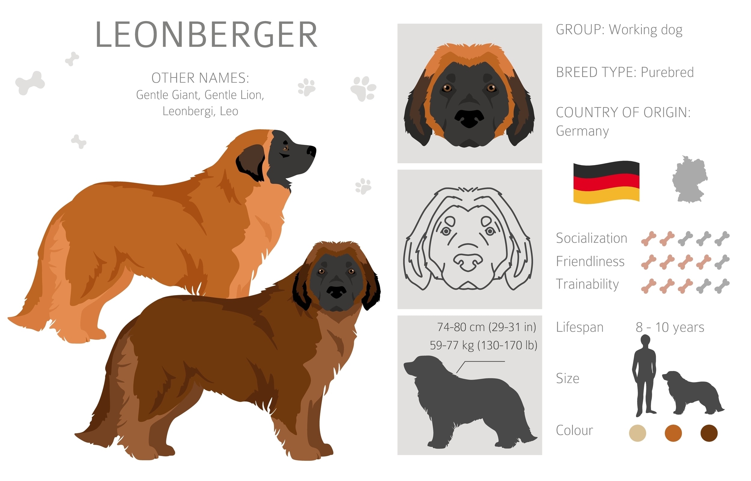 Leonberger - FurLyfe!