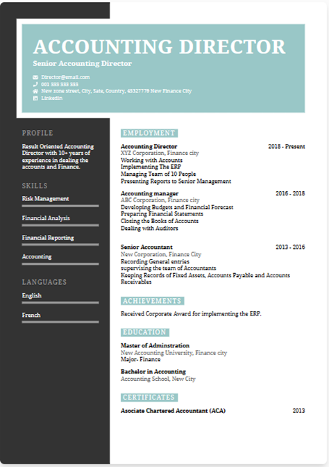 Accounting Director CV, Template & Examples