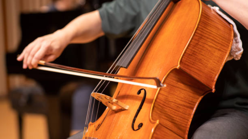 Silicone Rubber for Musical Instruments: Enhancing Sound and ...