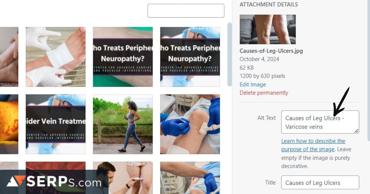 What is the Difference Between Title and Alt Text in WordPress Media?