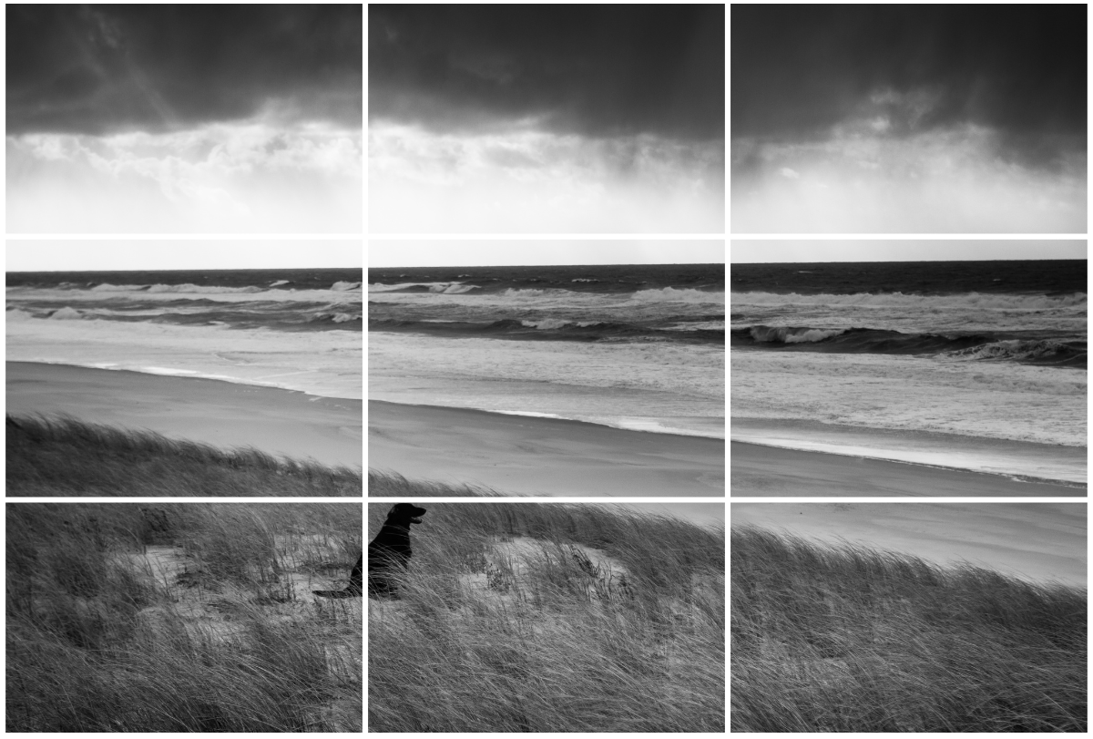What is the Rule of Thirds in Photography? | TYX Studios