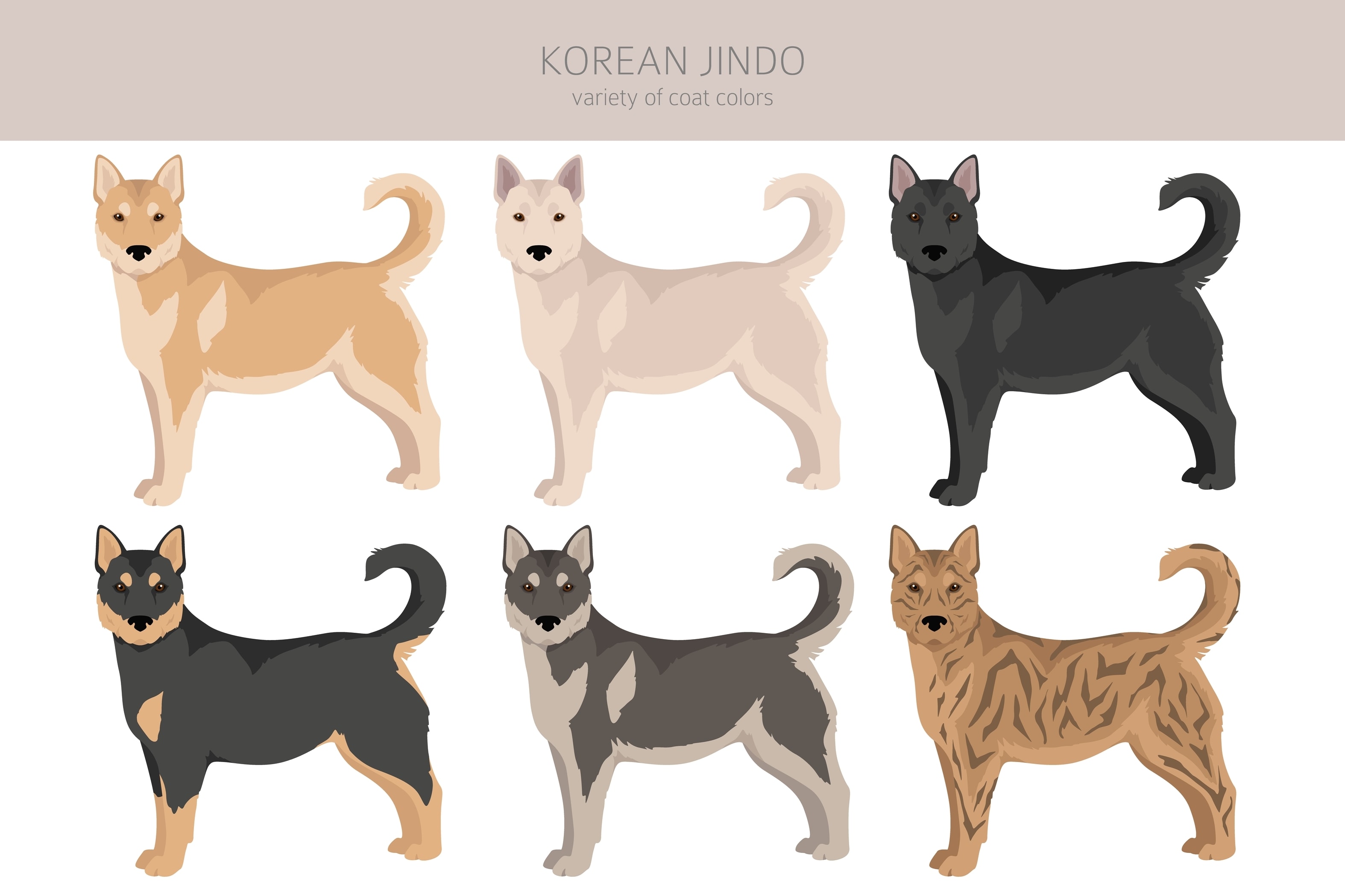 Jindo - FurLyfe!