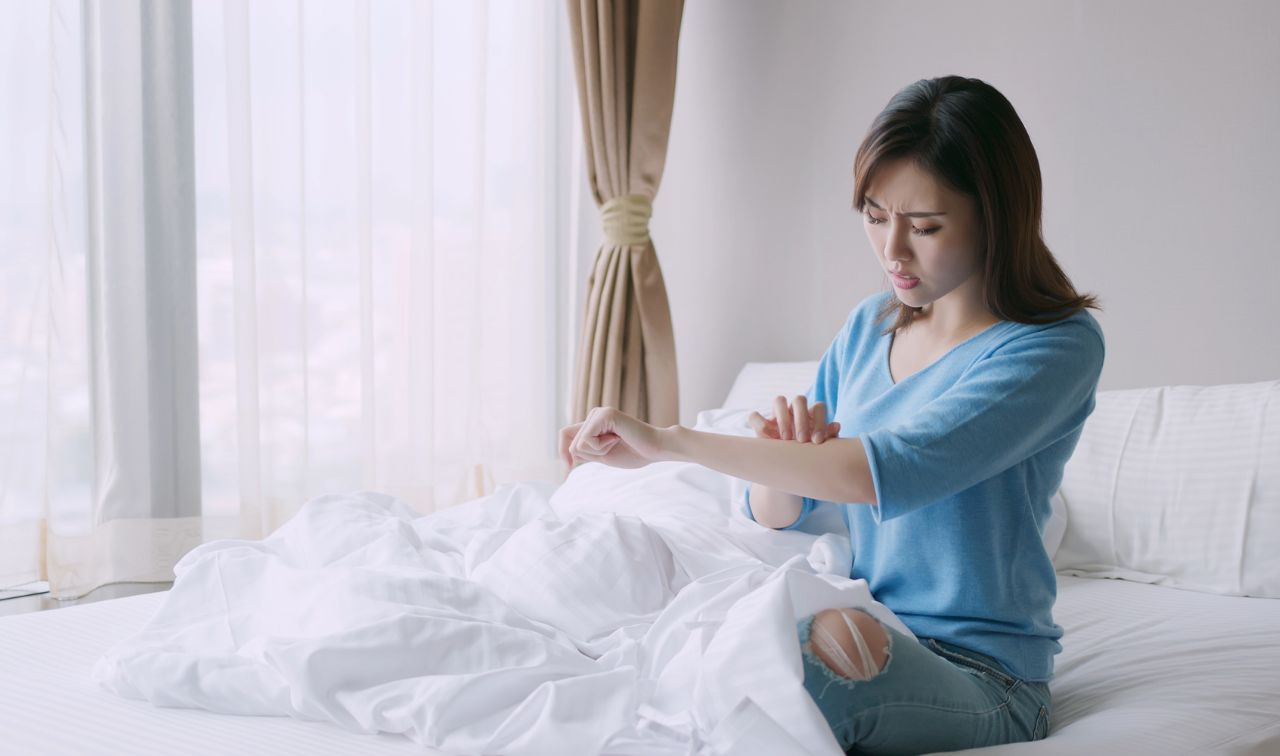 Are Bed Bugs Attracted To Light Debunking Myths