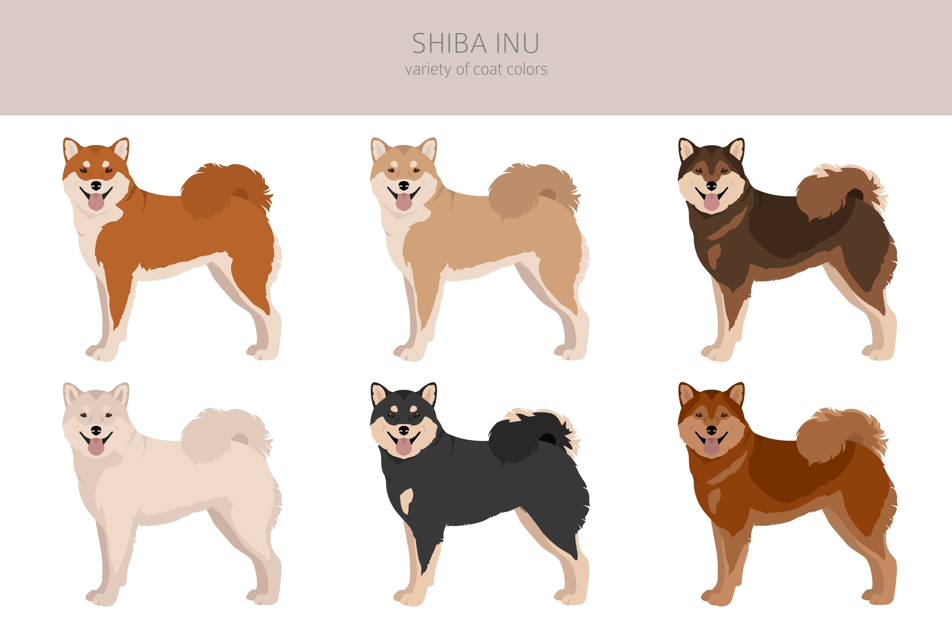 Shiba Inu - Dog Breed Information & Characteristics - FurLyfe!